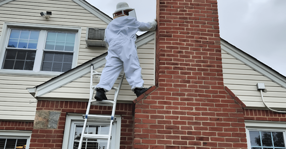 Enhanced Home Pest & Mosquito Control in Long Island | EM Pest Control